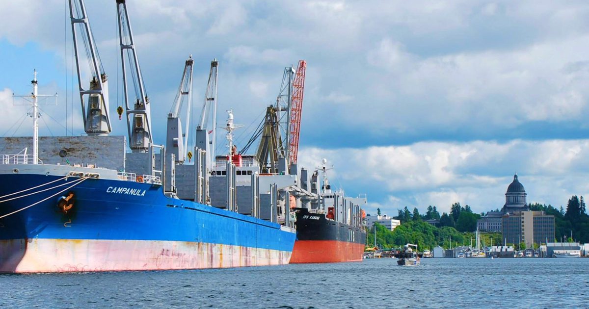 Discover the Port of Olympia this Summer | Experience Olympia