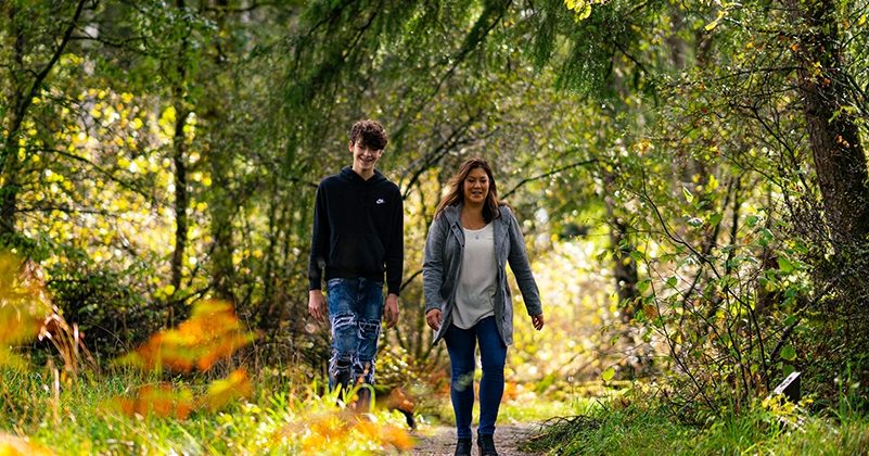 Where to Experience Fall Foliage in Thurston County, Washington ...