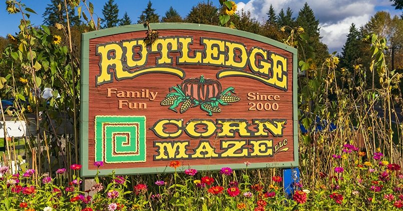Make Memories at Rutledge Family Farm | Experience Olympia