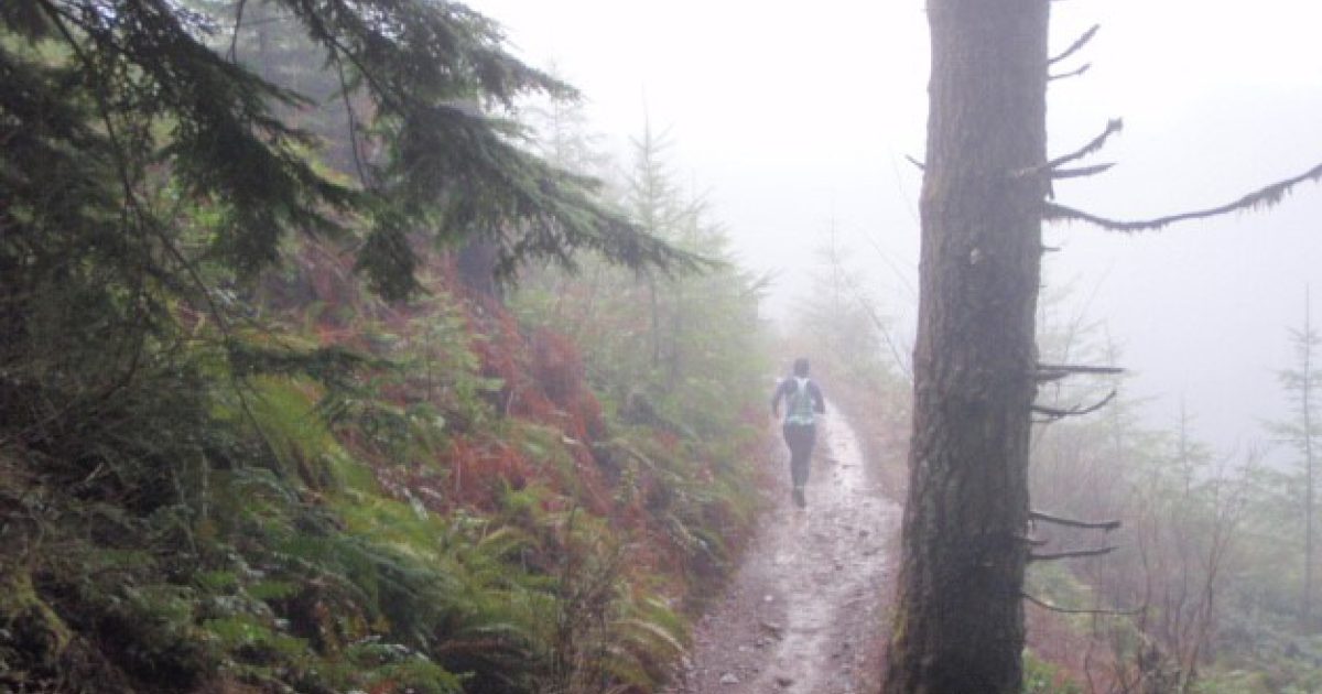 Hiking Capitol Forest: Tips from a Pro | Experience Olympia