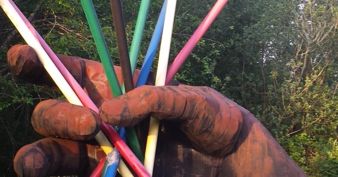 Chehalis Western Trail: 22 Mile, Intermediate Level | Experience Olympia