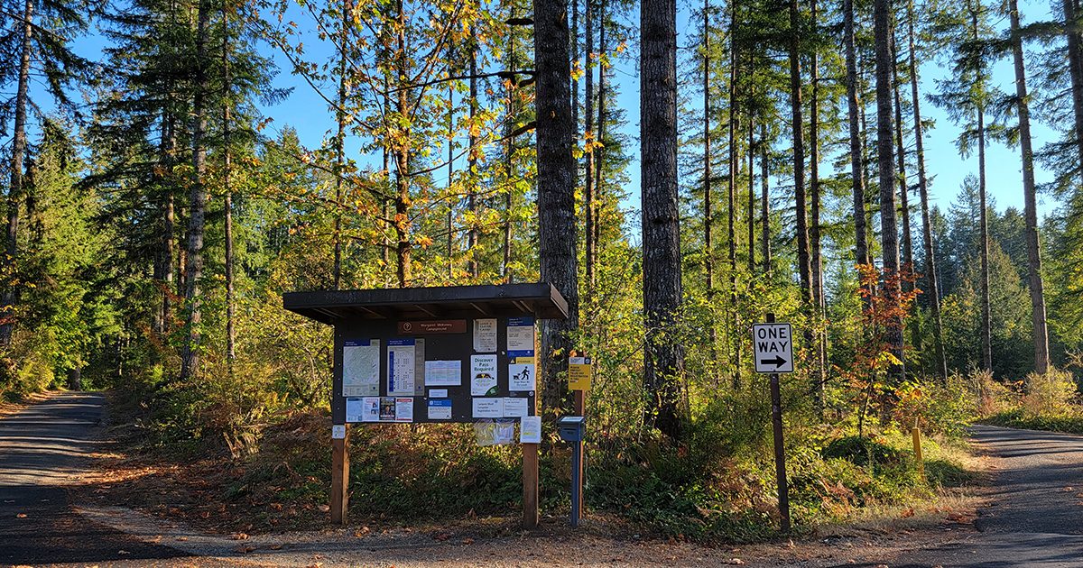 Capitol State Forest - Margaret McKenny Campground and Trailhead | Experience Olympia