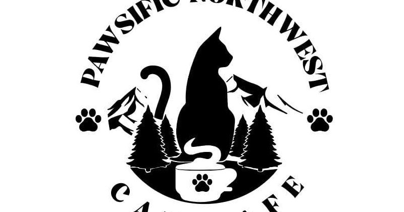 Pawsific Northwest Cat Cafe Experience Olympia