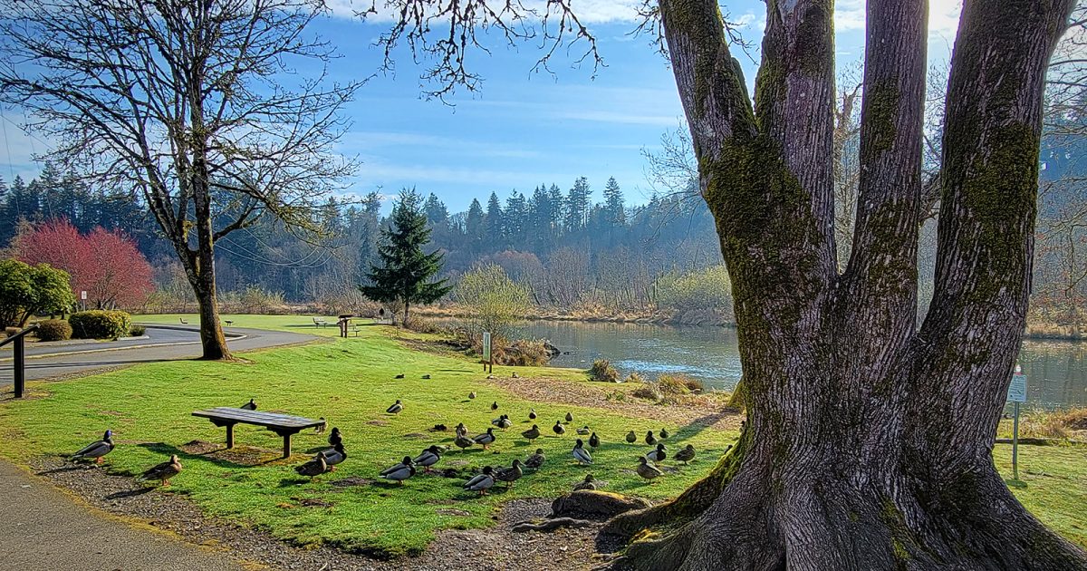 Tumwater Historical Park | Experience Olympia
