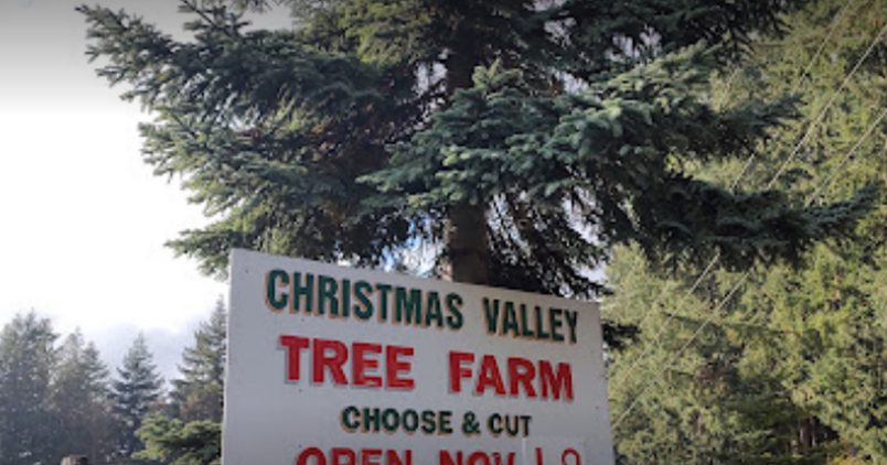 Christmas Valley Tree Farm | Experience Olympia
