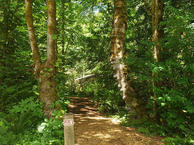 Biking in the Olympia region | WA Bike Trails, Maps, & Rentals ...