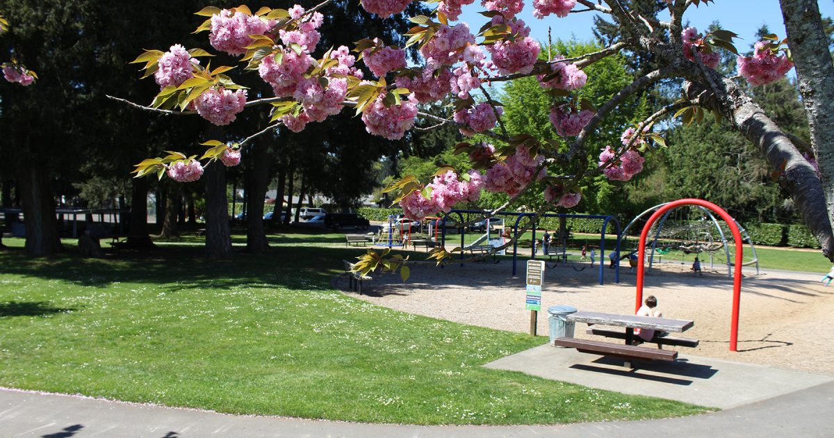 LBA Park and Woods | Experience Olympia