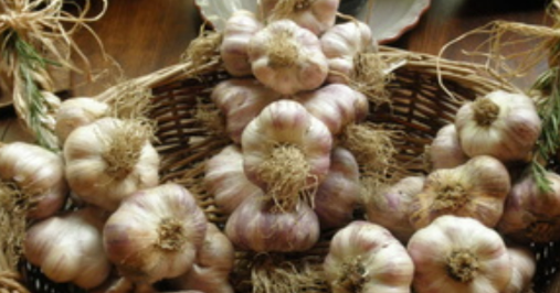 A Cottage Farm | Experience Olympia