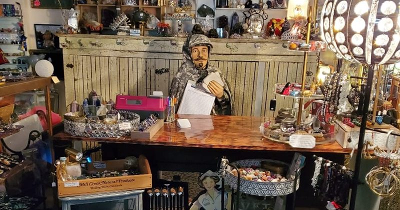 Pickers in Paradise | Experience Olympia