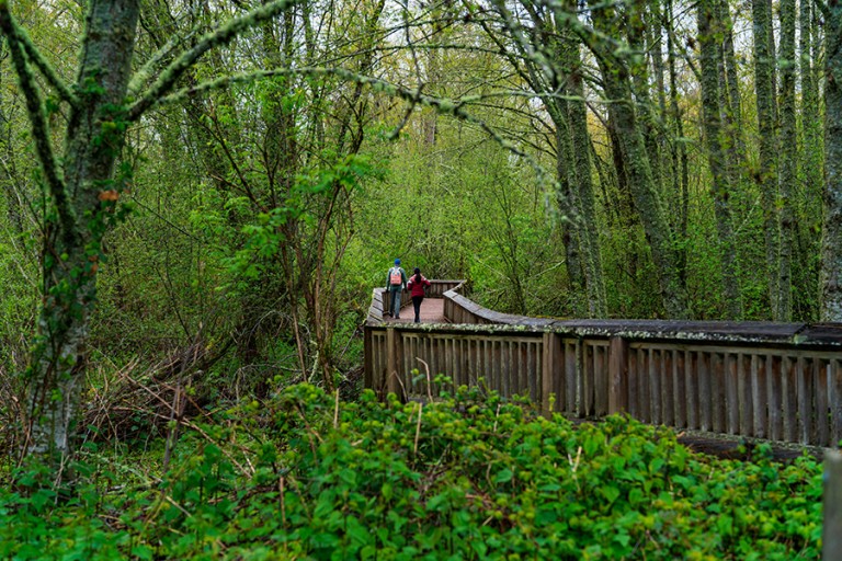 30+ Parks & Outdoor Recreation in Olympia, Lacey & Tumwater ...