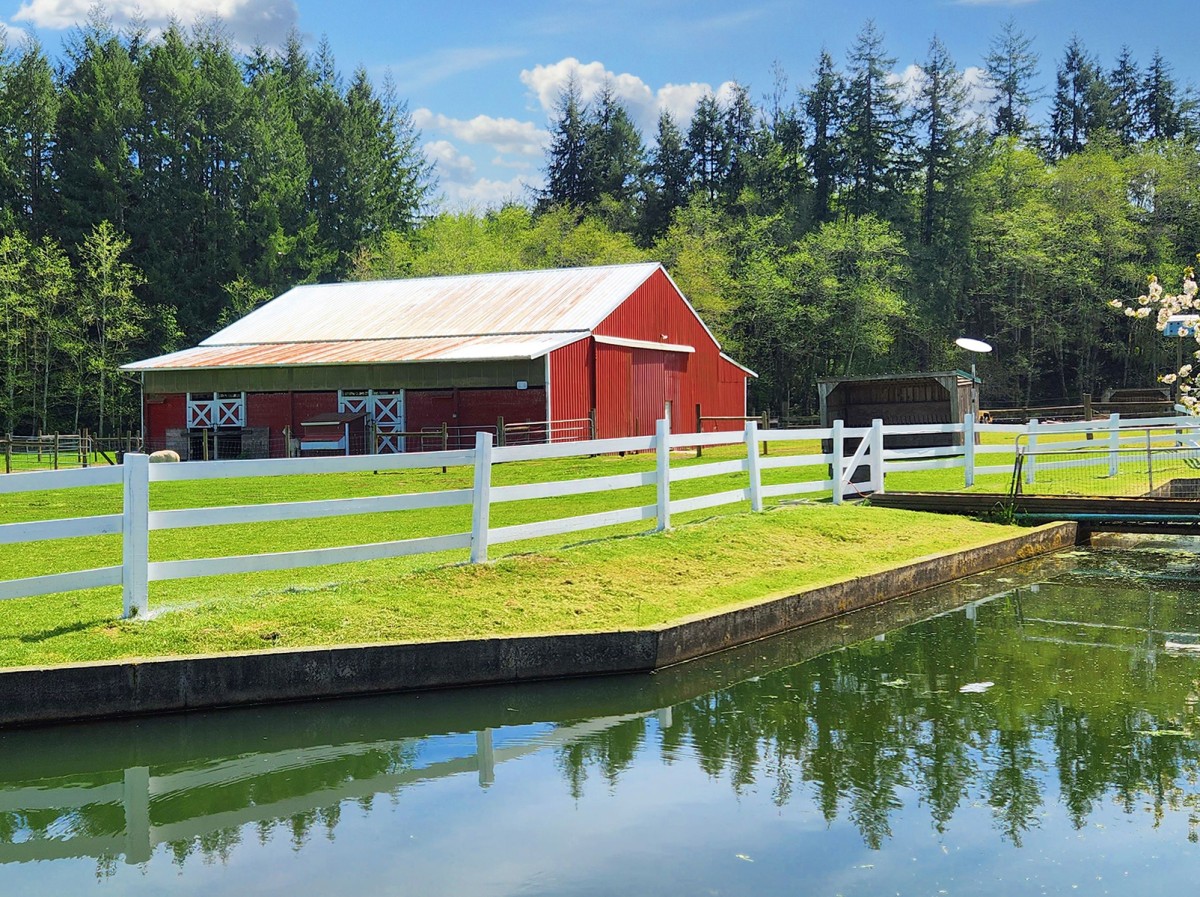 Rochester, Washington | Thurston County | Experience Olympia