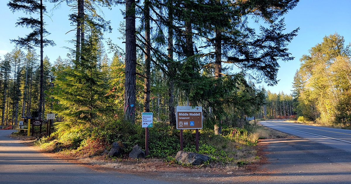 Capitol State Forest - Middle Waddell Campground and Trailhead | Experience Olympia