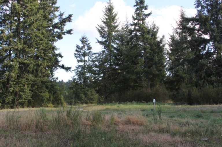 Experience Outdoor Adventures at Lacey's Municipal Parks | Experience ...