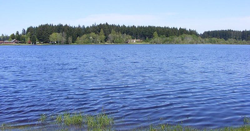 Scott Lake Golf Course | Experience Olympia