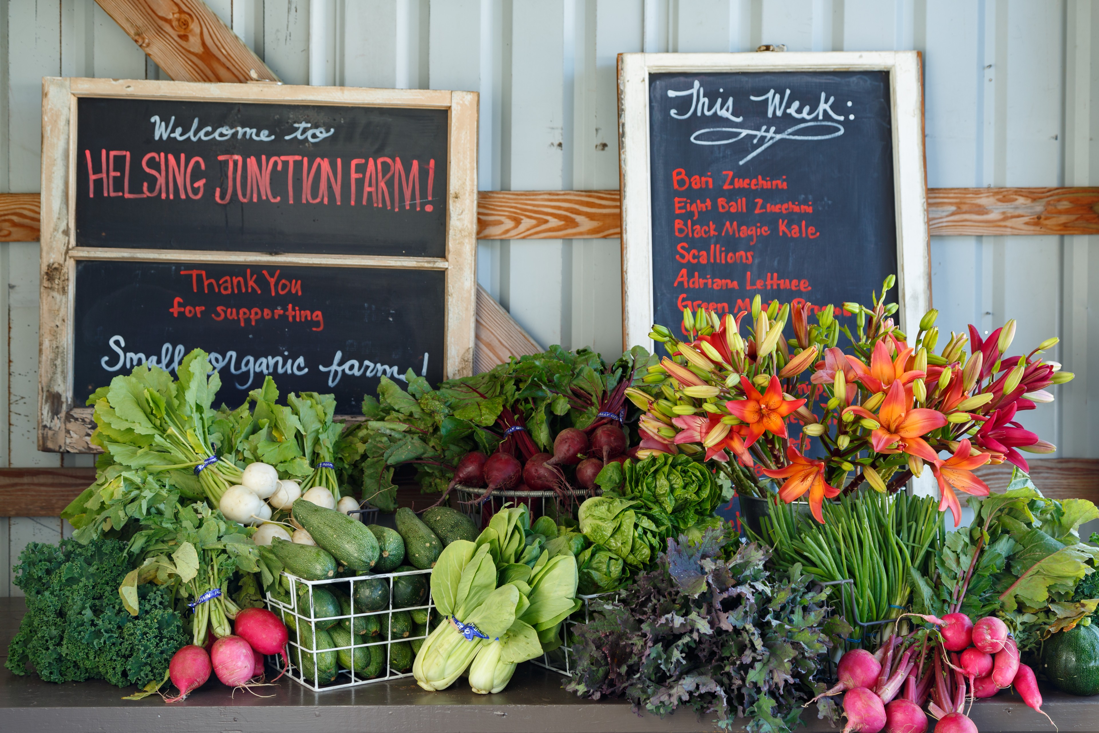 Find the Freshet Produce at Thurston County's Farmers Markets ...