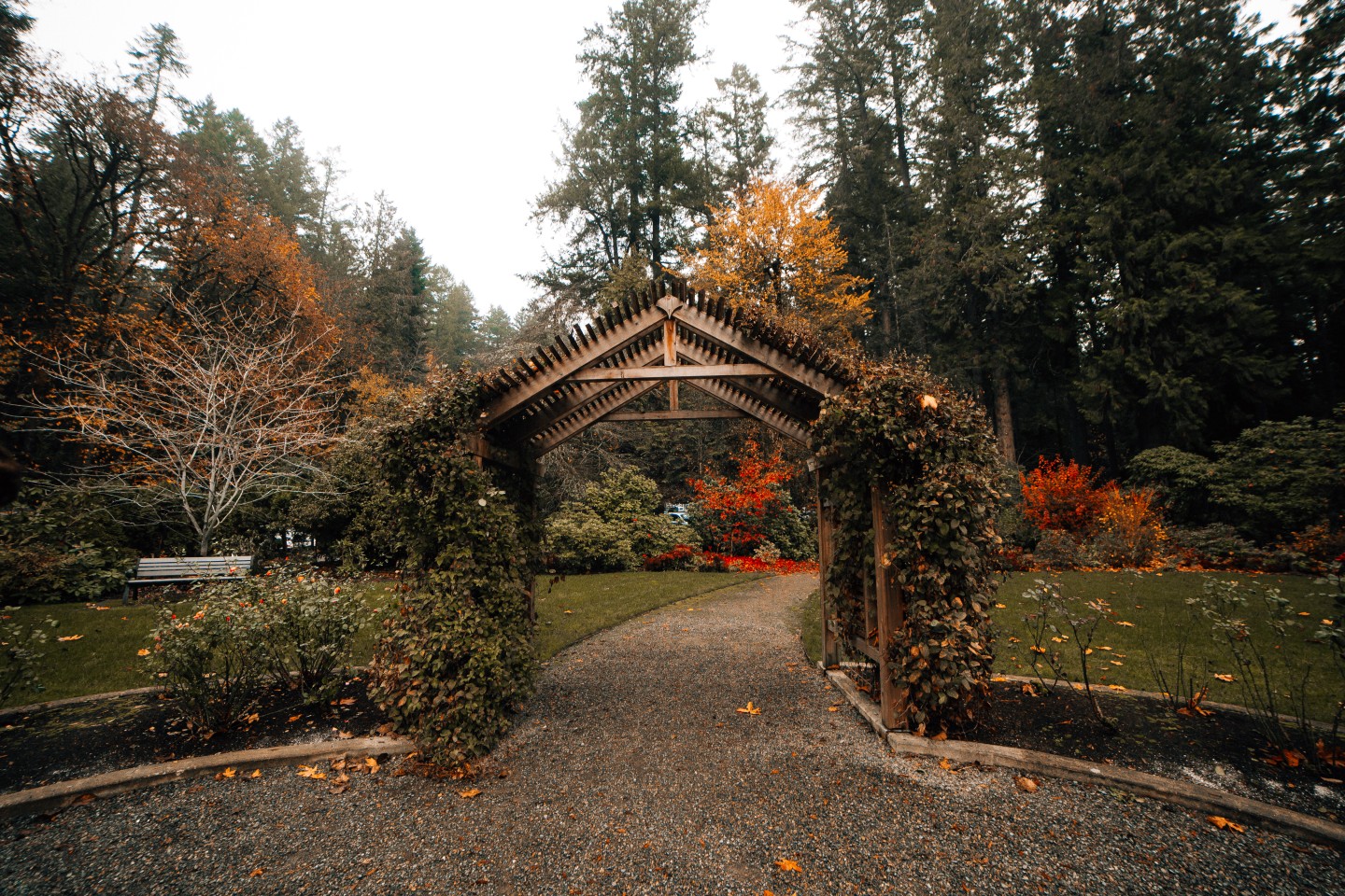 Biking in the Olympia region | WA Bike Trails, Maps, & Rentals ...