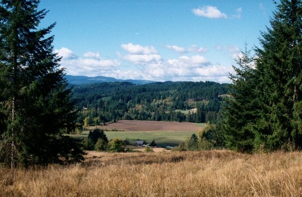 Rochester, Washington | Thurston County | Experience Olympia