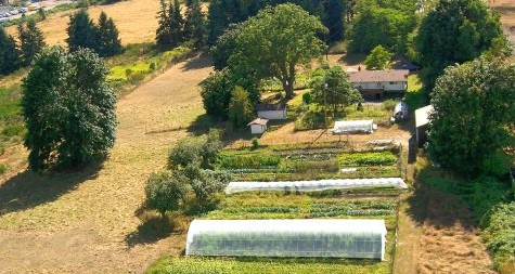 30+ Parks & Outdoor Recreation in Olympia, Lacey & Tumwater ...