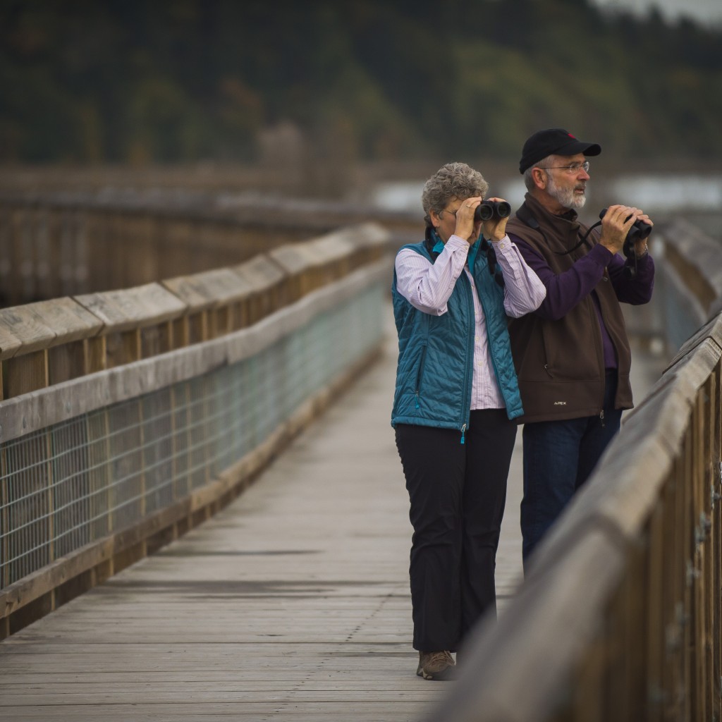 Things to Do & Hotels in Yelm Washington | Explore Thurston County ...