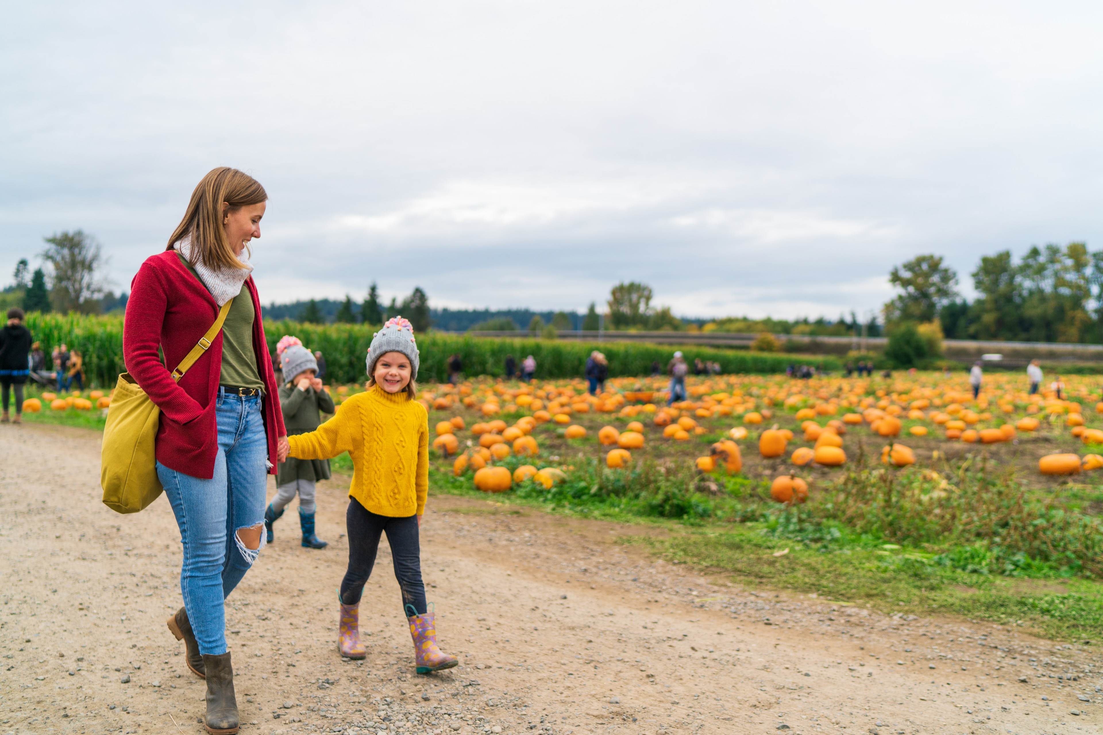Timberland Regional Library | Experience Olympia