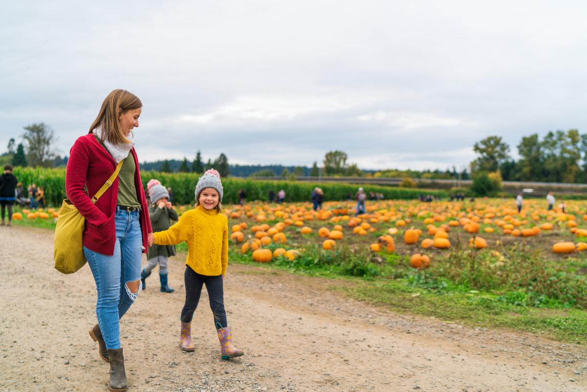 Best Things to Do in Olympia, WA | Experience Olympia